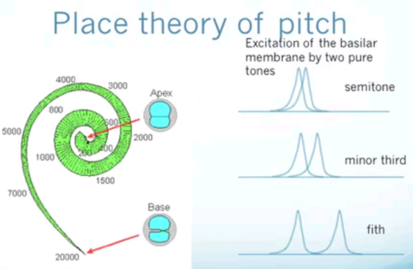 *All*About*Vibes*: Ear as instrument
