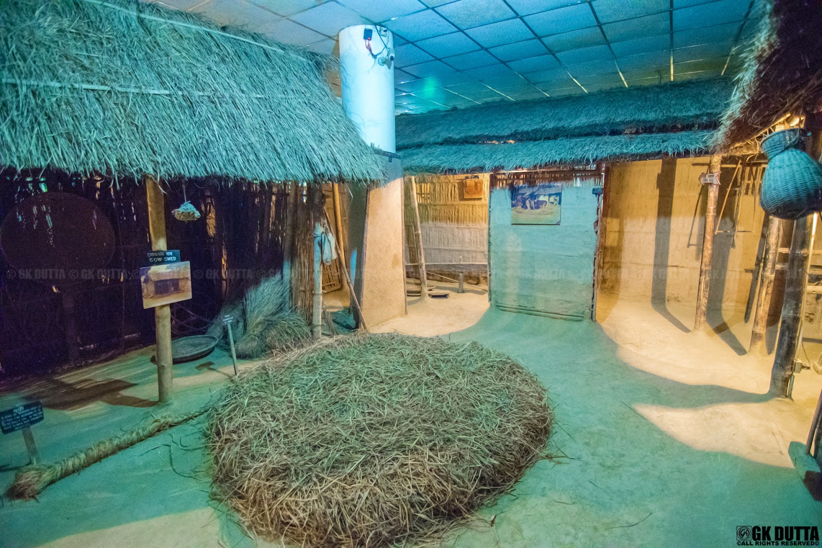 ASSAM STATE MUSEUM-GUWAHATI! - IMAGINARY