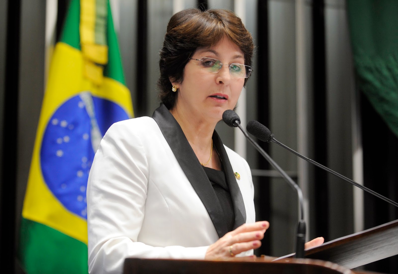 Movimentos Vila Velha: Entrevista Inédita - Senadora Ana Rita