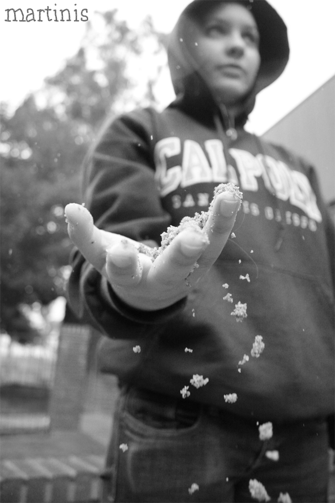 Aperture Assignment - CVHS Photography