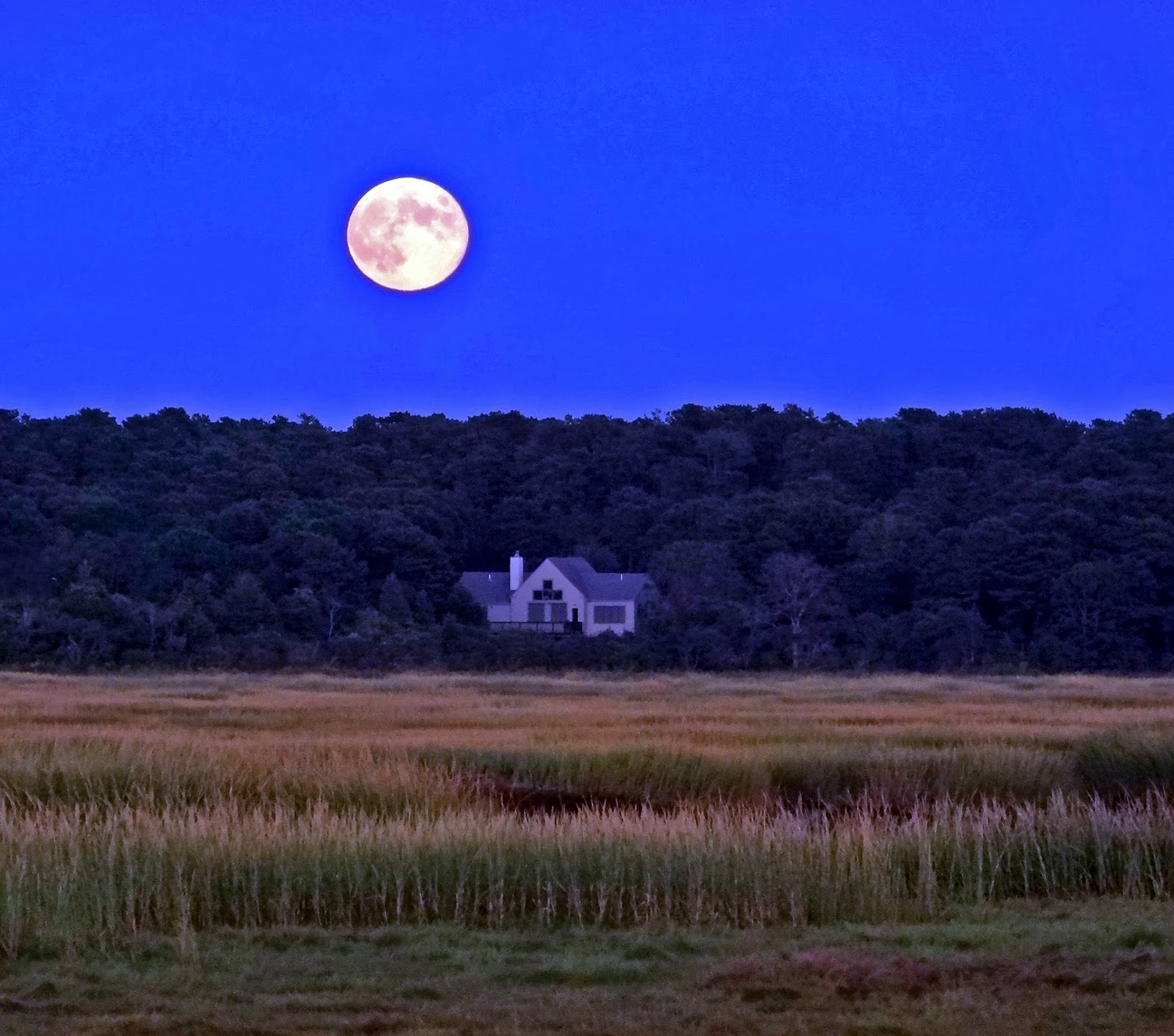 Joe's Retirement Blog: Moonrise, Eastham, Cape Cod, Massachusetts, USA