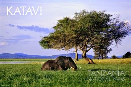 TZA TOURISM: KATAVI NATIONAL PARK