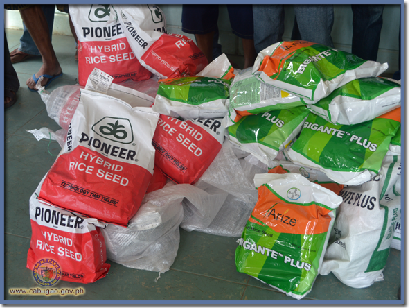 Bayan ng Cabugao: BUKEL TI PAGAY A MAIMULA ITI WET SEASON 2016, NAITED