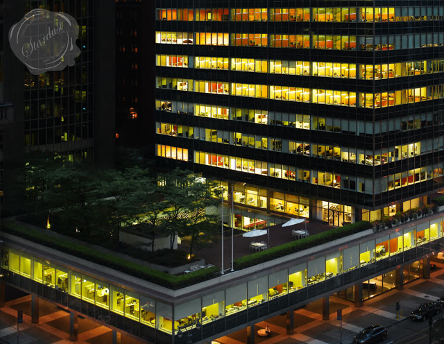 La Forma Moderna en Latinoamérica: LEVER HOUSE