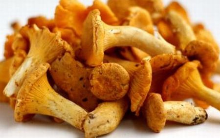 Healty Cooking by Julie : Tip: Cantharellen schoonmaken