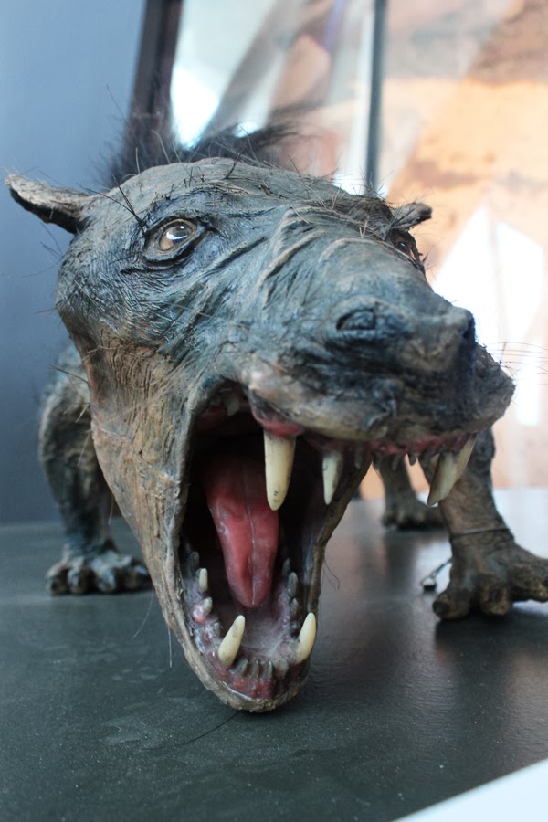 Precambrian Dinosaurs