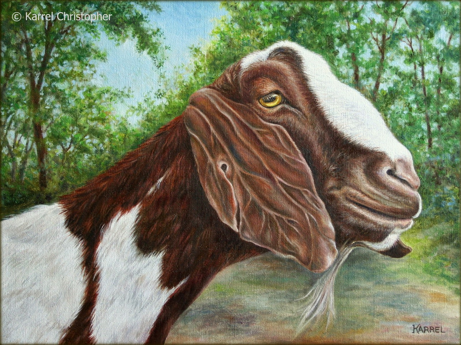 KARREL's Creative Path: BOER GOAT MOM oil painting