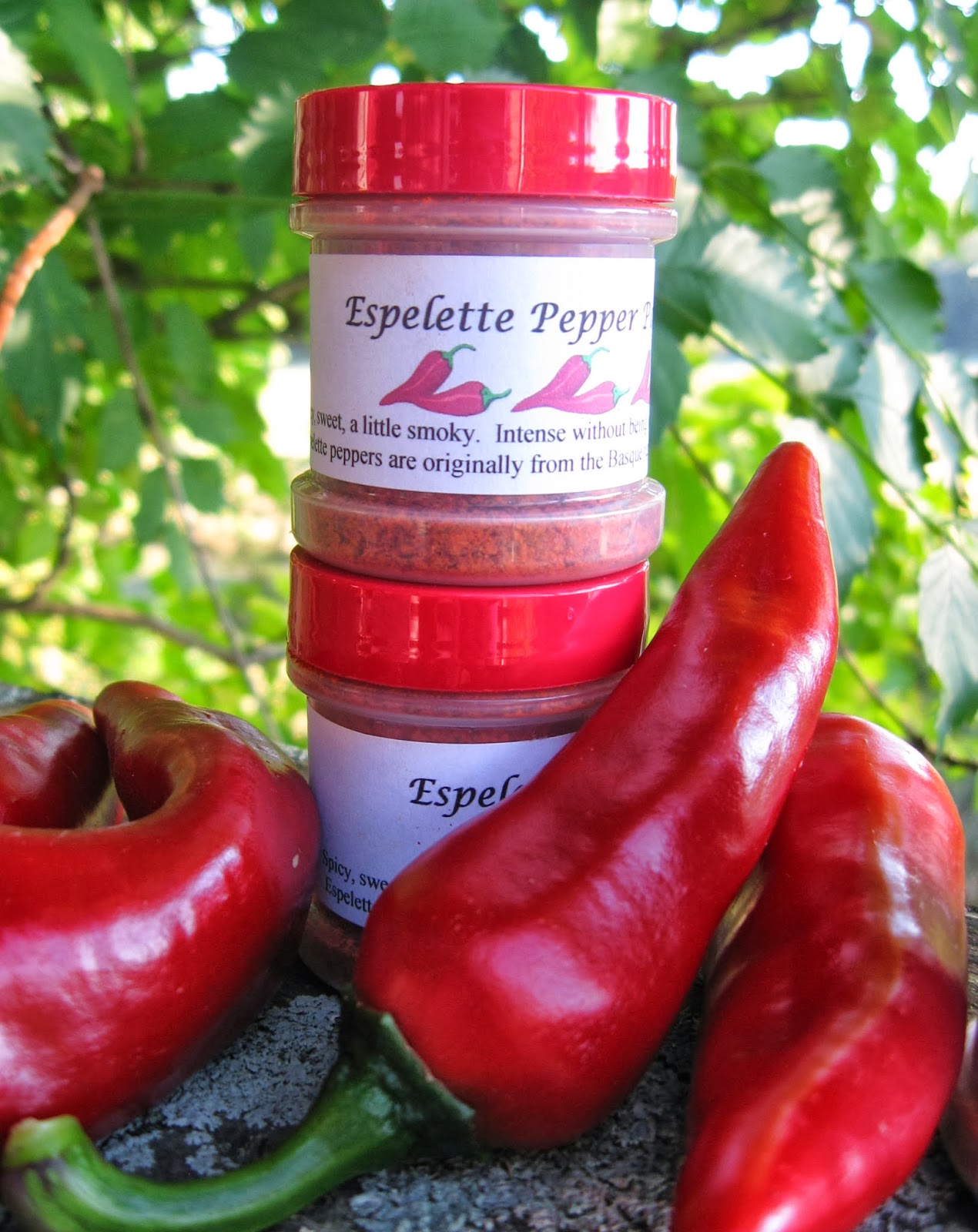 Espelette pepper - Alchetron, The Free Social Encyclopedia