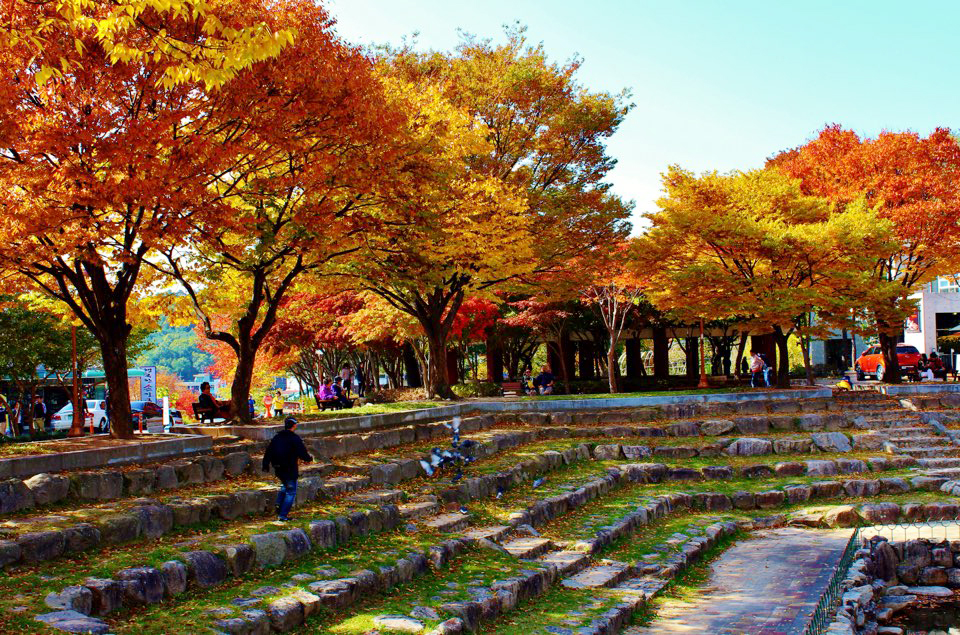 3 best spots in Daegu that will make you fall in love with the city