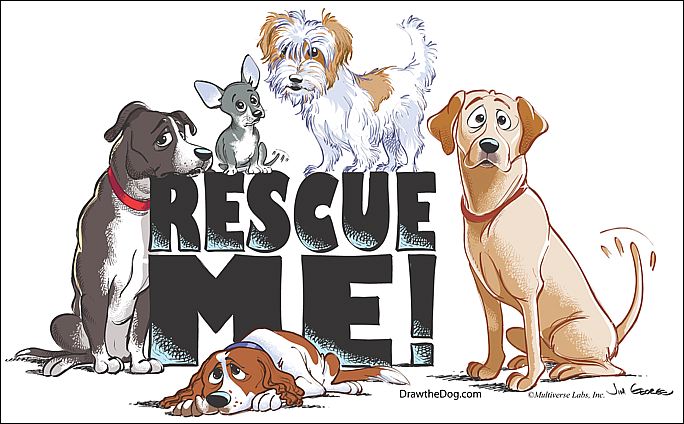 The Teacher's Pets: 7 Signs Of A Reputable Dog Rescue Organization