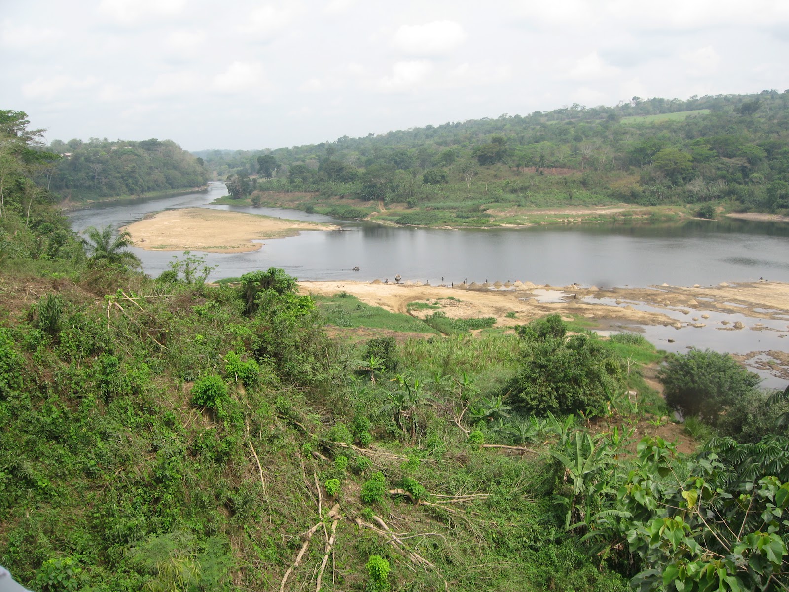 Bee Keeping in UK and Africa: The Road to Mamfe