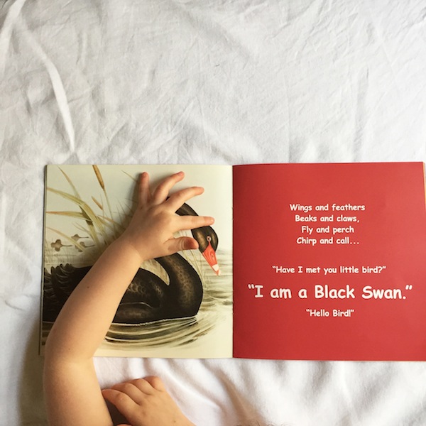 THE INDIGO CREW | Creative living with kids: HELLO BIRD! BY DONNA DYSON