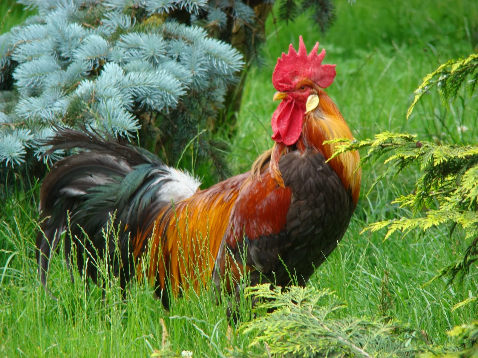 Tim Redfern: Victims of Bangladesh building collapse neglected...