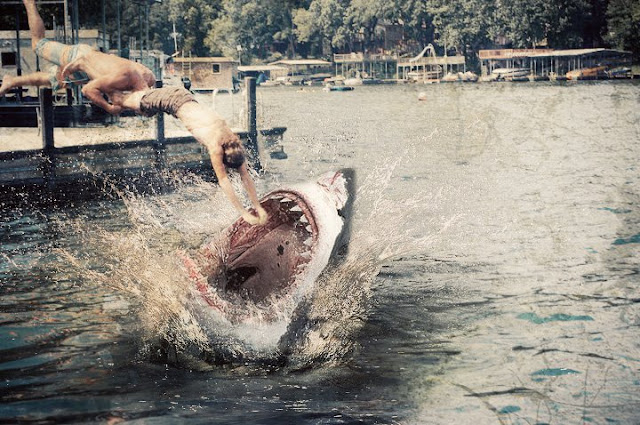 Sharks Eat Meat: DAY 549 - Sharks Eat ME