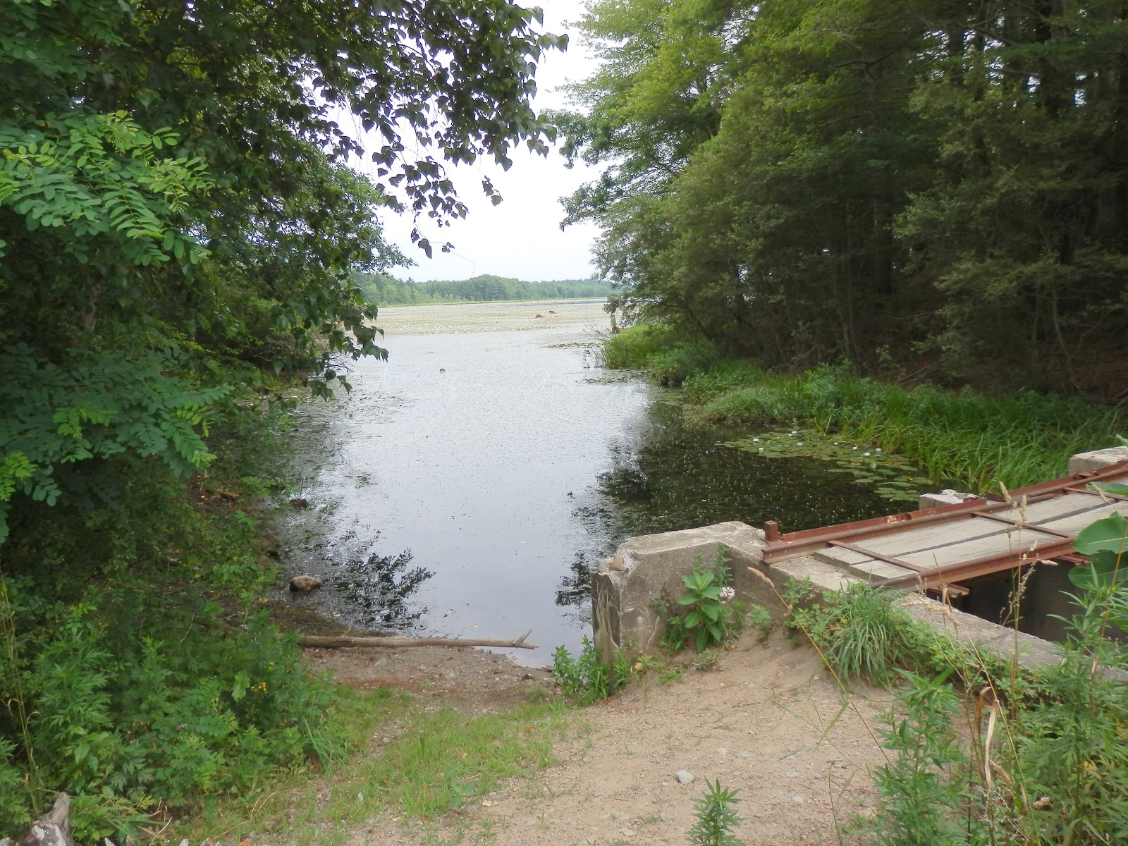 Hike Plymouth and Beyond!: Burrage Pond Wildlife Management Area Hanson ...