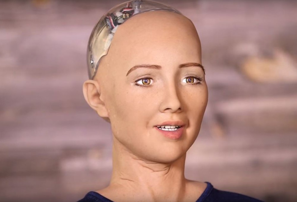About useful and interesting: The Robot Sofia