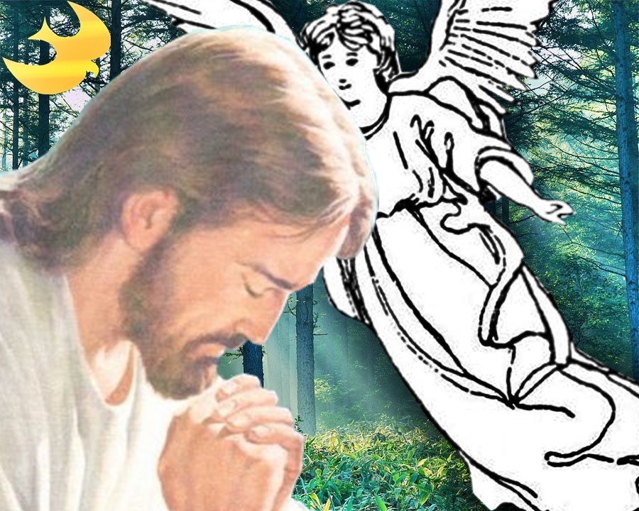 .: JESUS EN GETSEMANI