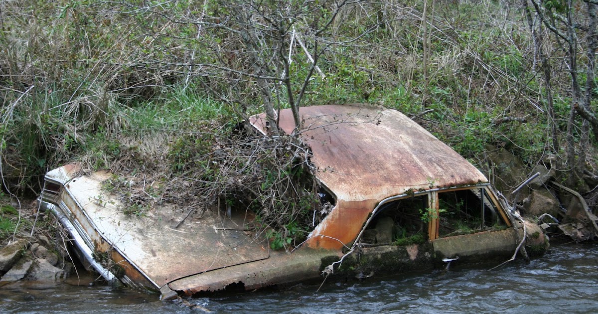 The Carpetbagger: Photography