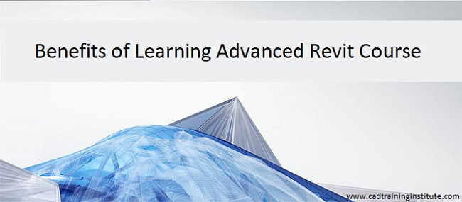 CAD Training Institute : Benefits of Learning Advanced Revit Course ...