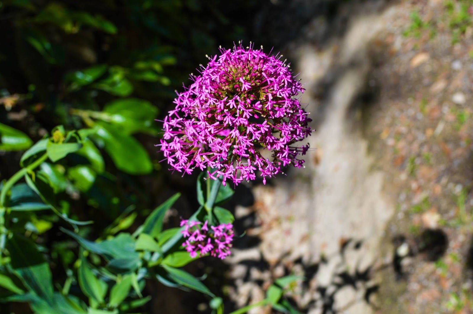 Our House is Y'alls House: Our Honeymoon: Mediterranean Cruise - Day 11 ...