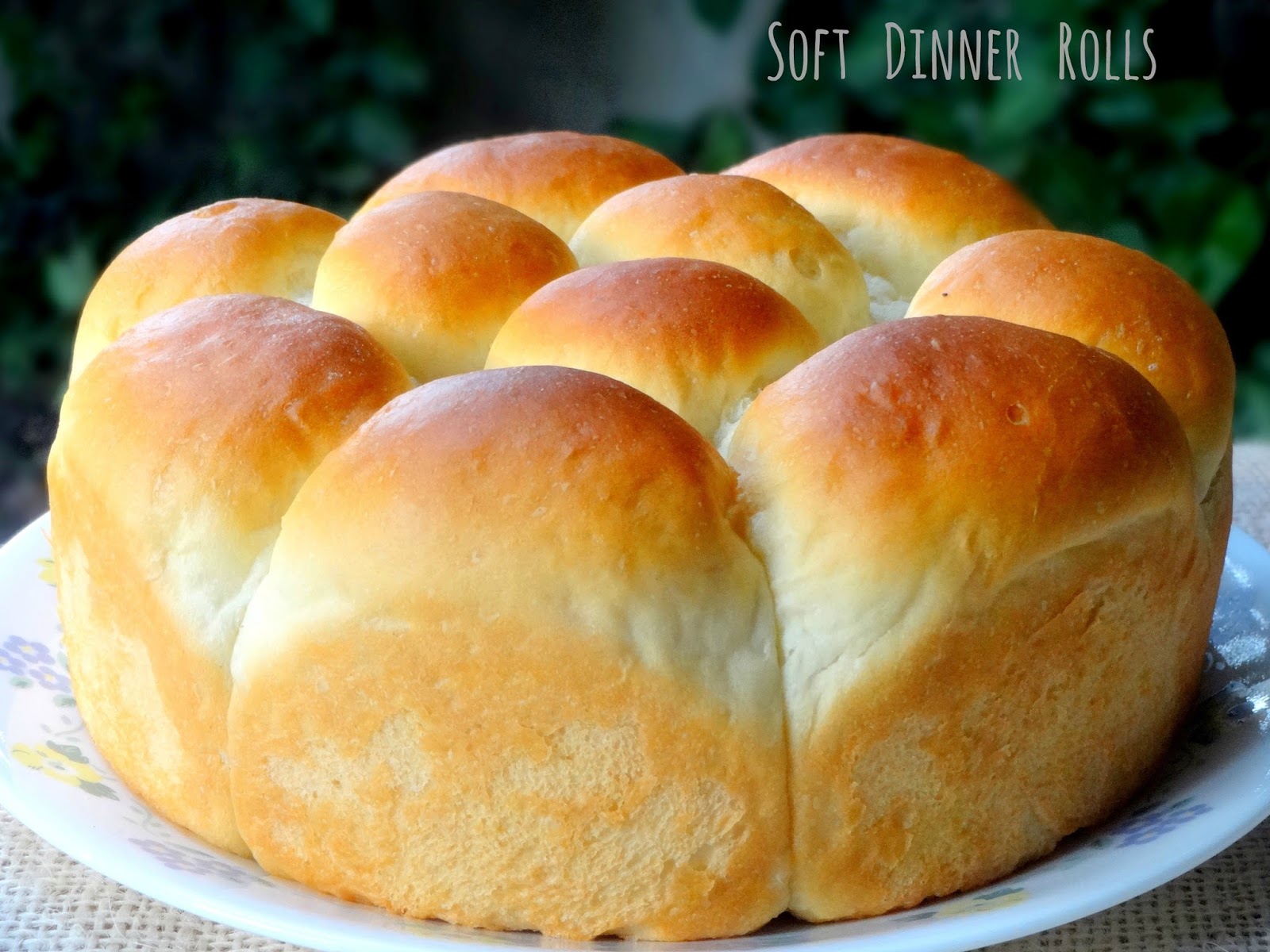 Super Soft Dinner Rolls and Whole Wheat Dinner Rolls | Ambrosia