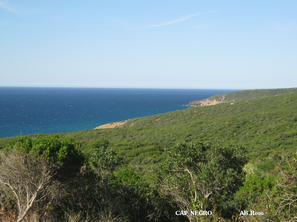 Cap Negro Tunisie 2012 (Nefza Béja ) - CAP-NEGRO-Romdhani.overblog.com