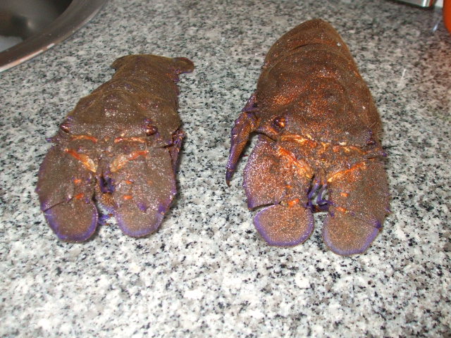 Pimentinhas na Cozinha: CAVACOS