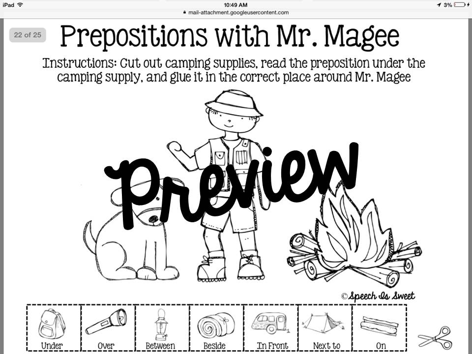 Word Nerd Speech Teach: {Review} A Camping Spree with Mr. Magee