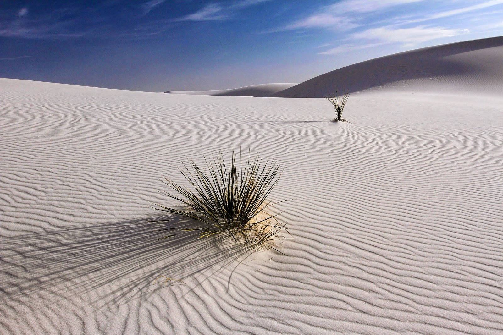 Vic Schendel Photography