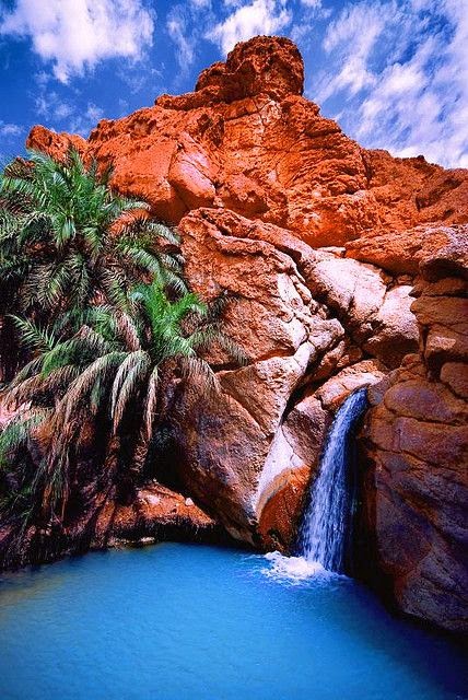 Attractive Tunisia ~ Stunning nature