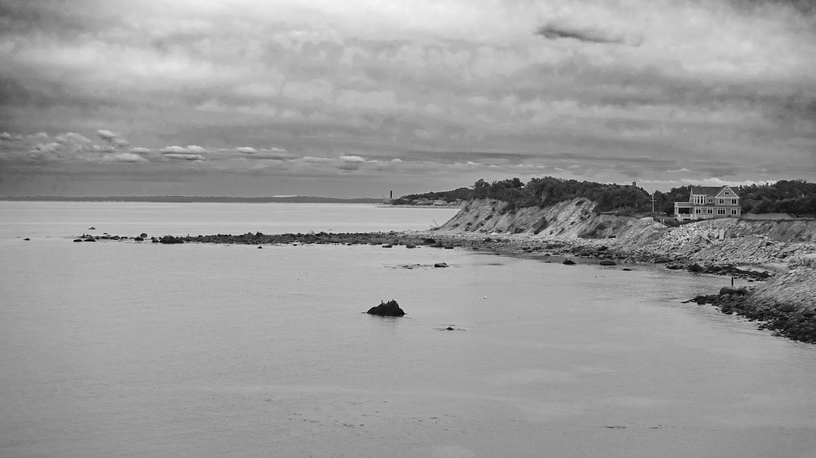 Joe's Retirement Blog: A Turkey in the Neighborhood, Manomet, Plymouth ...