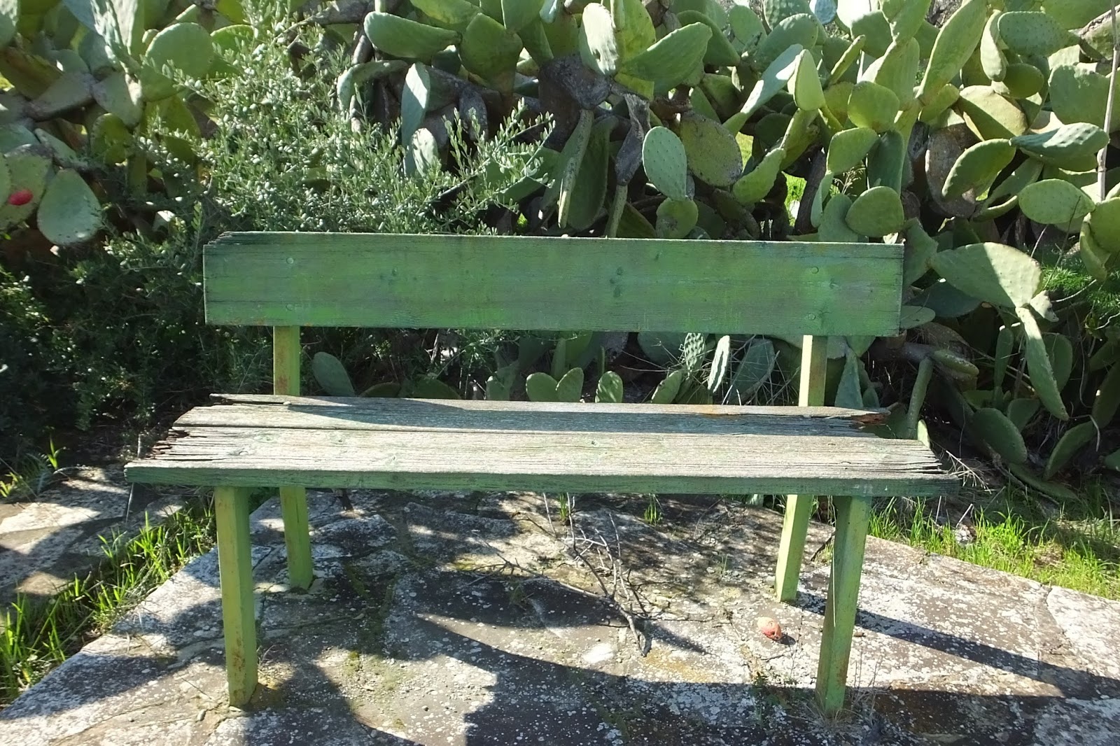 Cyprus benches