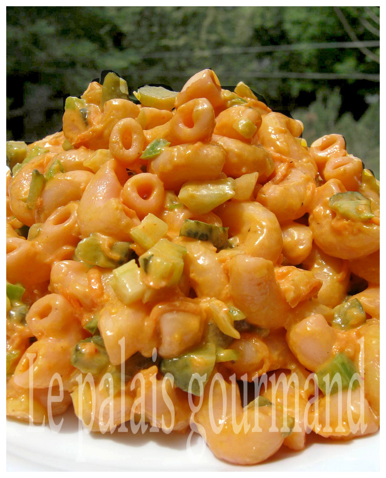 Le palais gourmand: Salade de macaroni