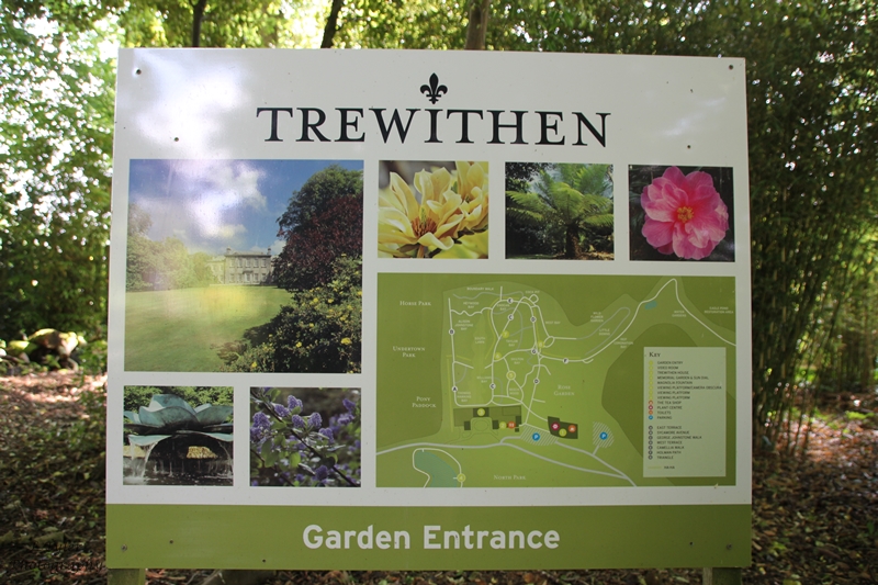 The Balancing Kiwi: Cornwall Holiday 2016 - Trewithen Gardens