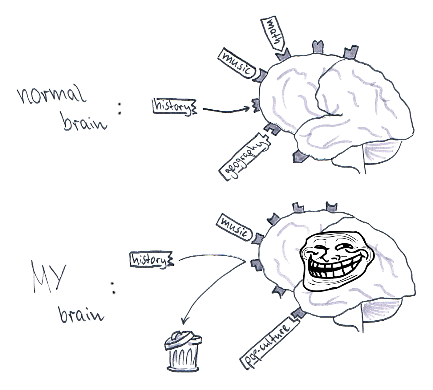 maximiwax: "Social Intelligence" - Or : Herp Derp, I'm Stoopid #2