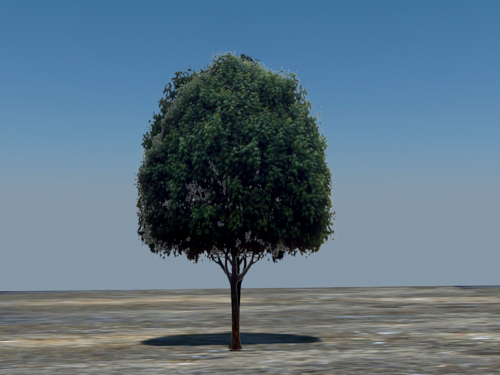 3ds max tutorial: 3ds max tutorial-How to make a tree using opacity map ...