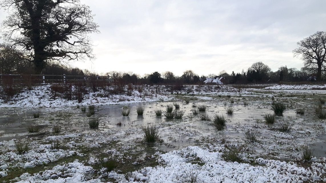 Biodiversity Gatwick: Biodiversity sites in winter