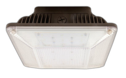 Canopy Lighting Fixture Hood