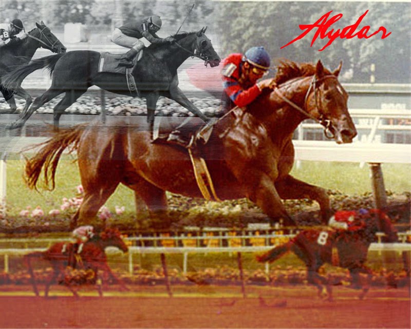 The Coltons Point Times: Greatest Thoroughbred Rivalry - Affirmed ...