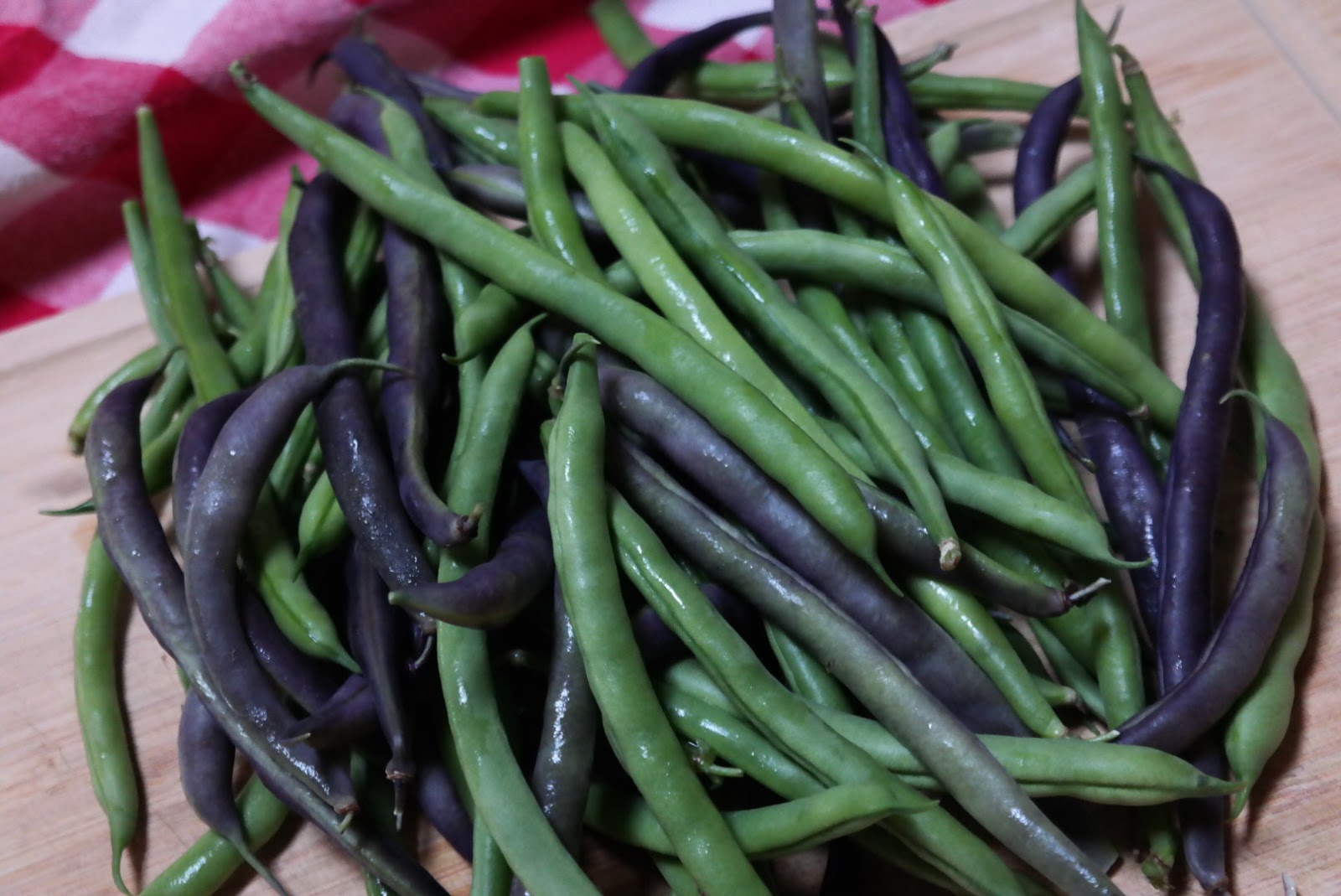 MountainMama: And So It Begins.....