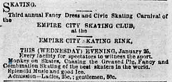 Skate Guard: The Empire City Skating Rink