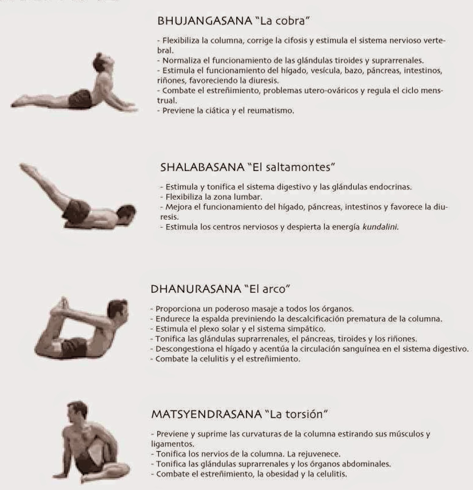Pilates Contigo: Yoga