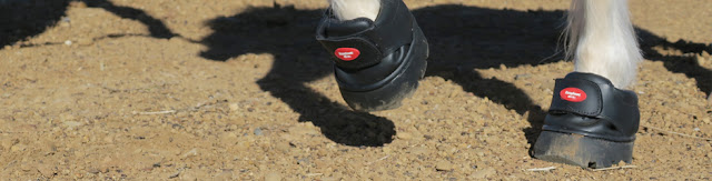 The Hoof Boot Blog: Lots of new Hoof Boots from Easycare!