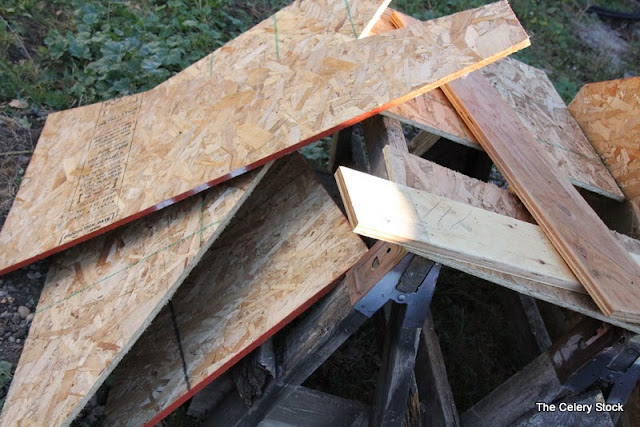 The Feral Turtle: Chicken Scraps