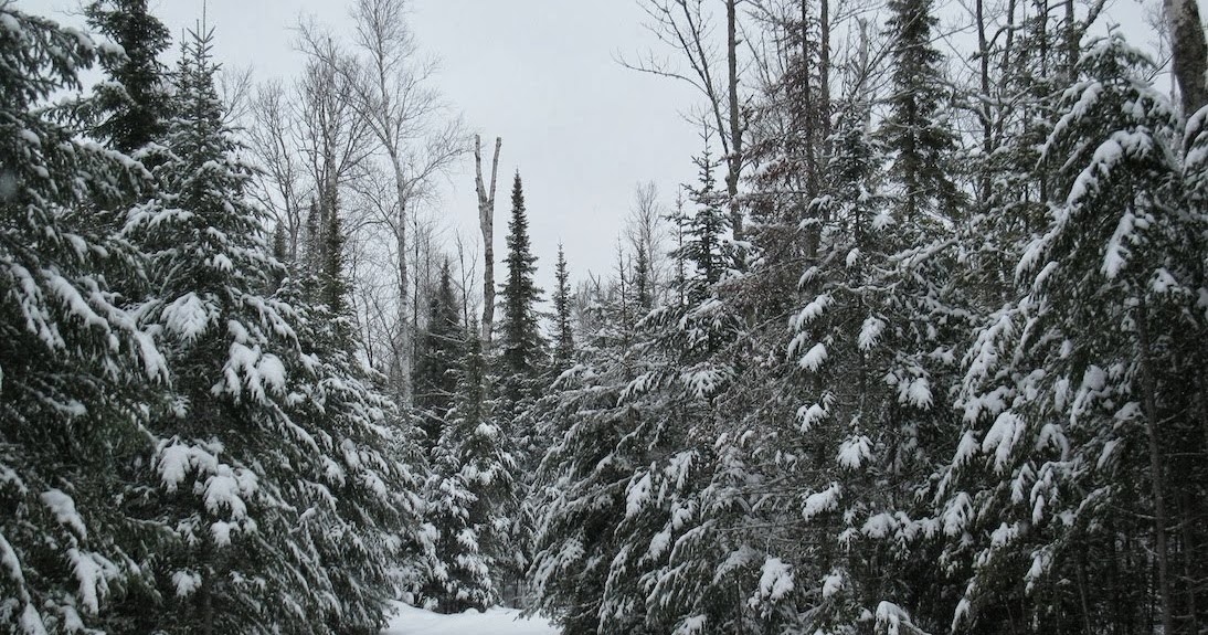 Mindfulness, Meditation, and Mysticism: One Step Forward, One Step Back