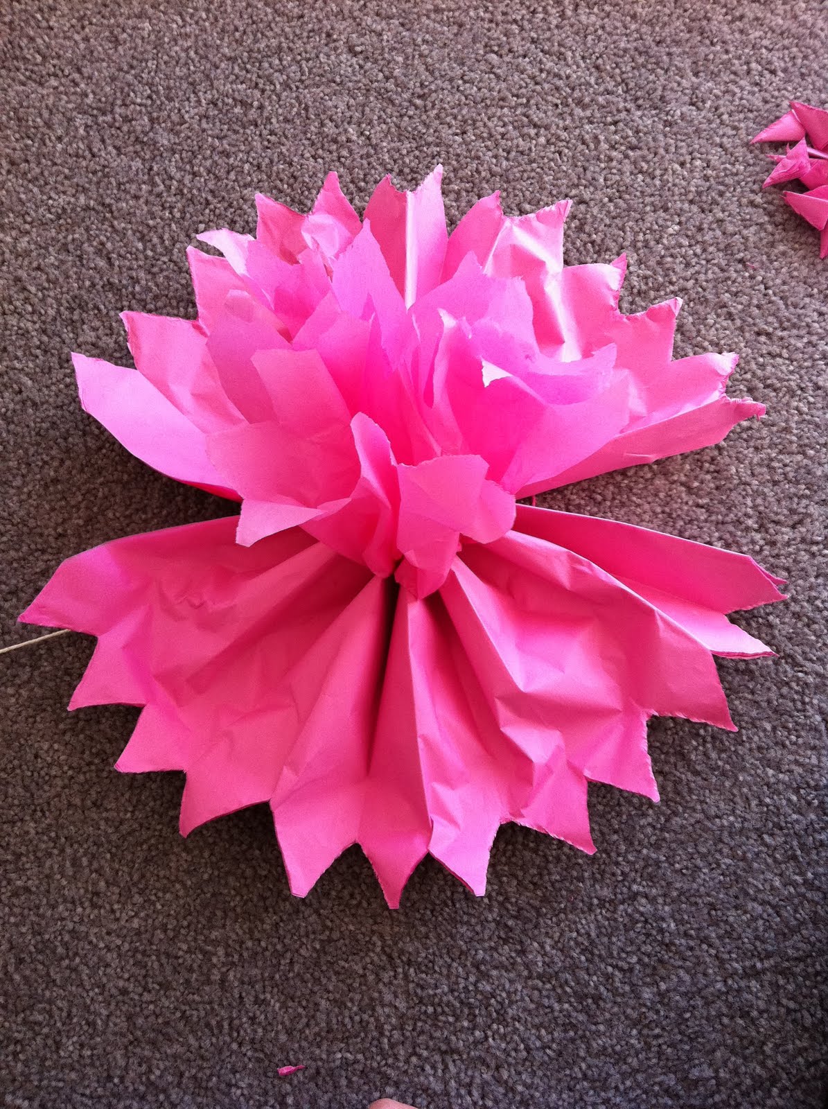 Winter Love: Pretty pretty Pom Pom.