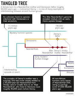 Gelecekbilim: İnsan Evriminde Yeni Bilgi