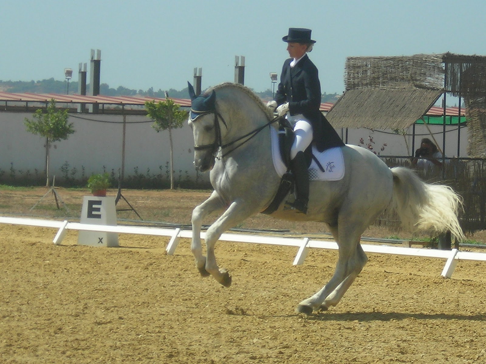 Pasion Ecuestre: Piruetas al Galope (I)