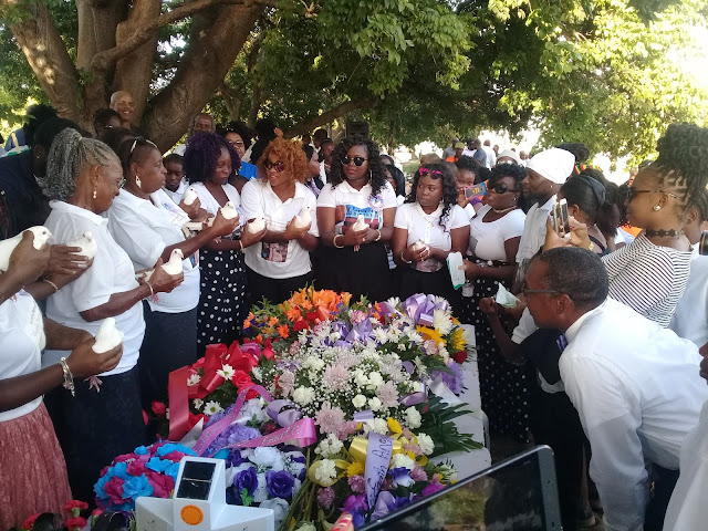 ST. KITTS - NEVIS BREAKING NEWS (outside the box): Pictures: Eartha ...