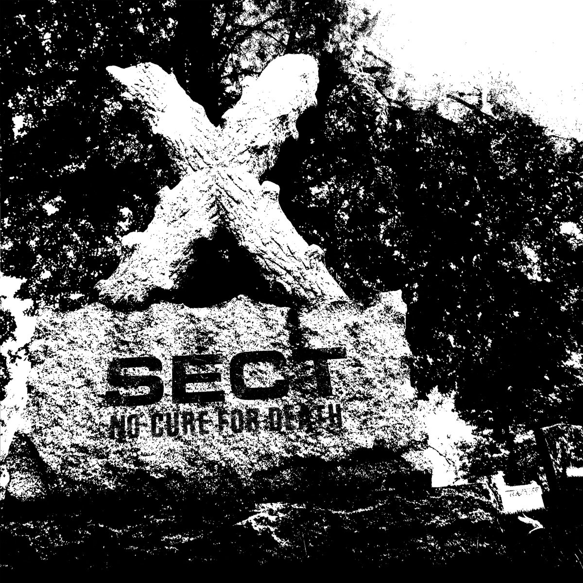 The Sludgelord: ALBUM REVIEW: Sect – “No Cure for Death”